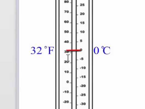 How To Read A Thermometer And Use It ? [All You Need To Know]